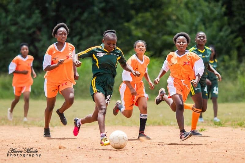 Challenge Hound: Houndquarters