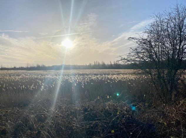 Challenge Hound: Houndquarters